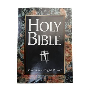 CONTEMPORARY ENGLISH VERSION (CEV)