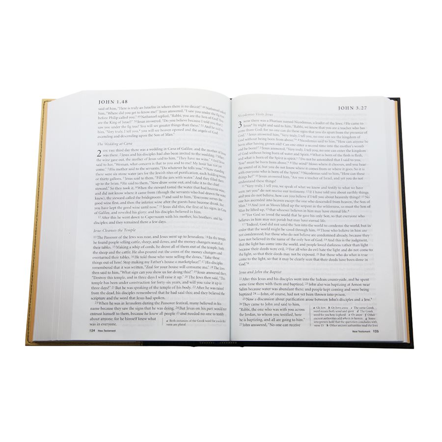 The Holy Bible - New Revised Standard Version (NRSV)