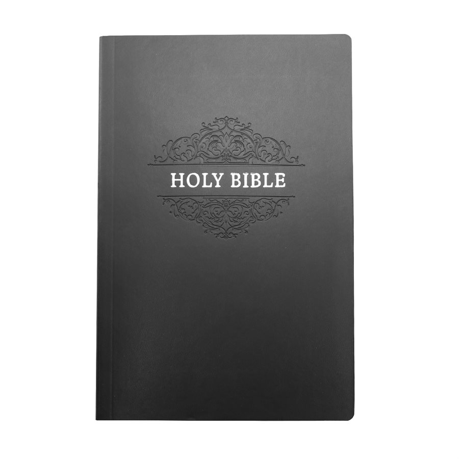 NIV Comfort Print Holy Bible - New International Version (NIV)