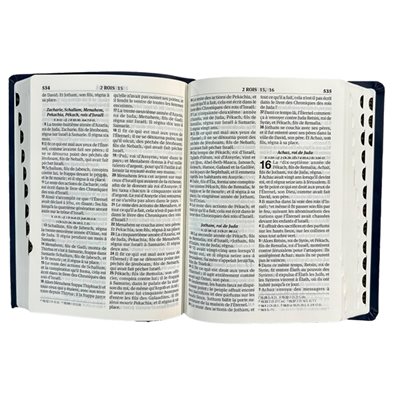 La Sainte Bible, Version Louis Segond 1910 - Moyens Caractères ...