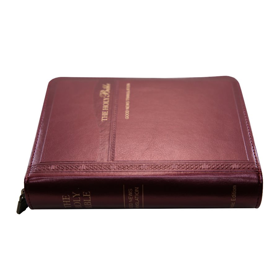 The Holy Bible - Good News Translation (GNT)